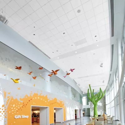 Product Search | Armstrong Ceilings